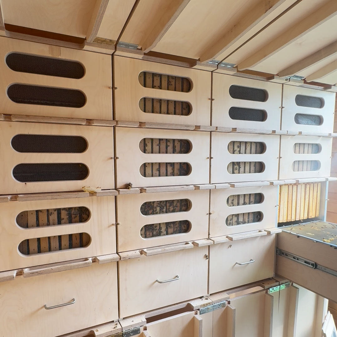 Atria Beekeeping System Models | Apiverte