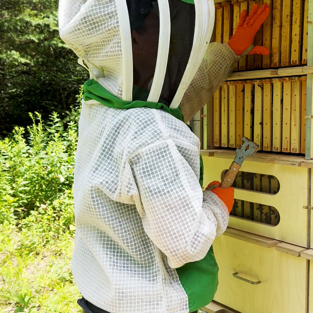 Atria Beekeeping System | Innovative Solutions for Sustainable ...