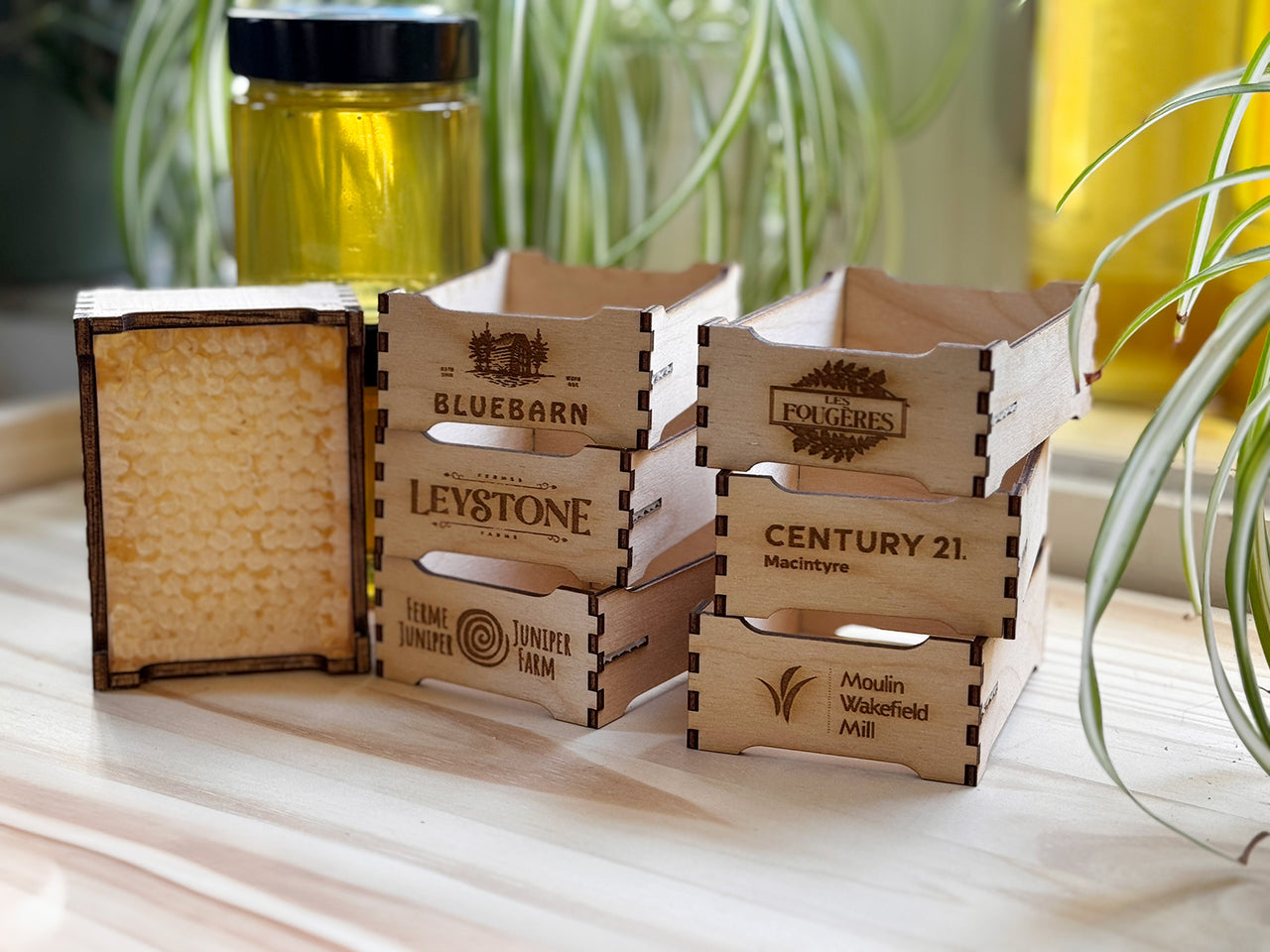 Chariot Honeycomb Frames | Apiverte